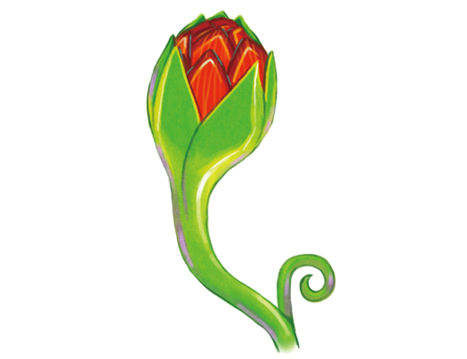 Smart Phonics 2 - Interactive e-Book for Classroom